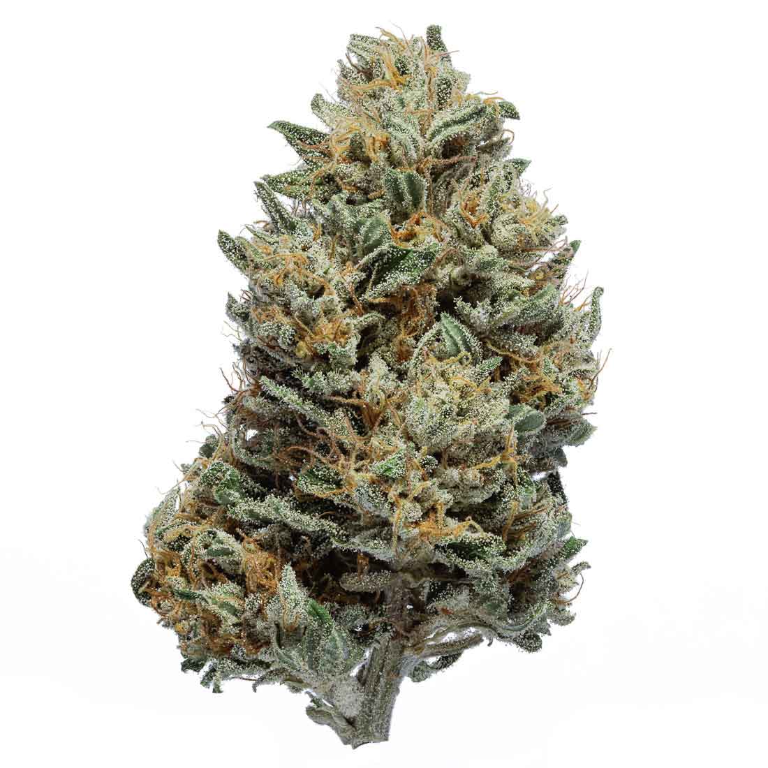 The White CBG Flower - Akira Botanicals
