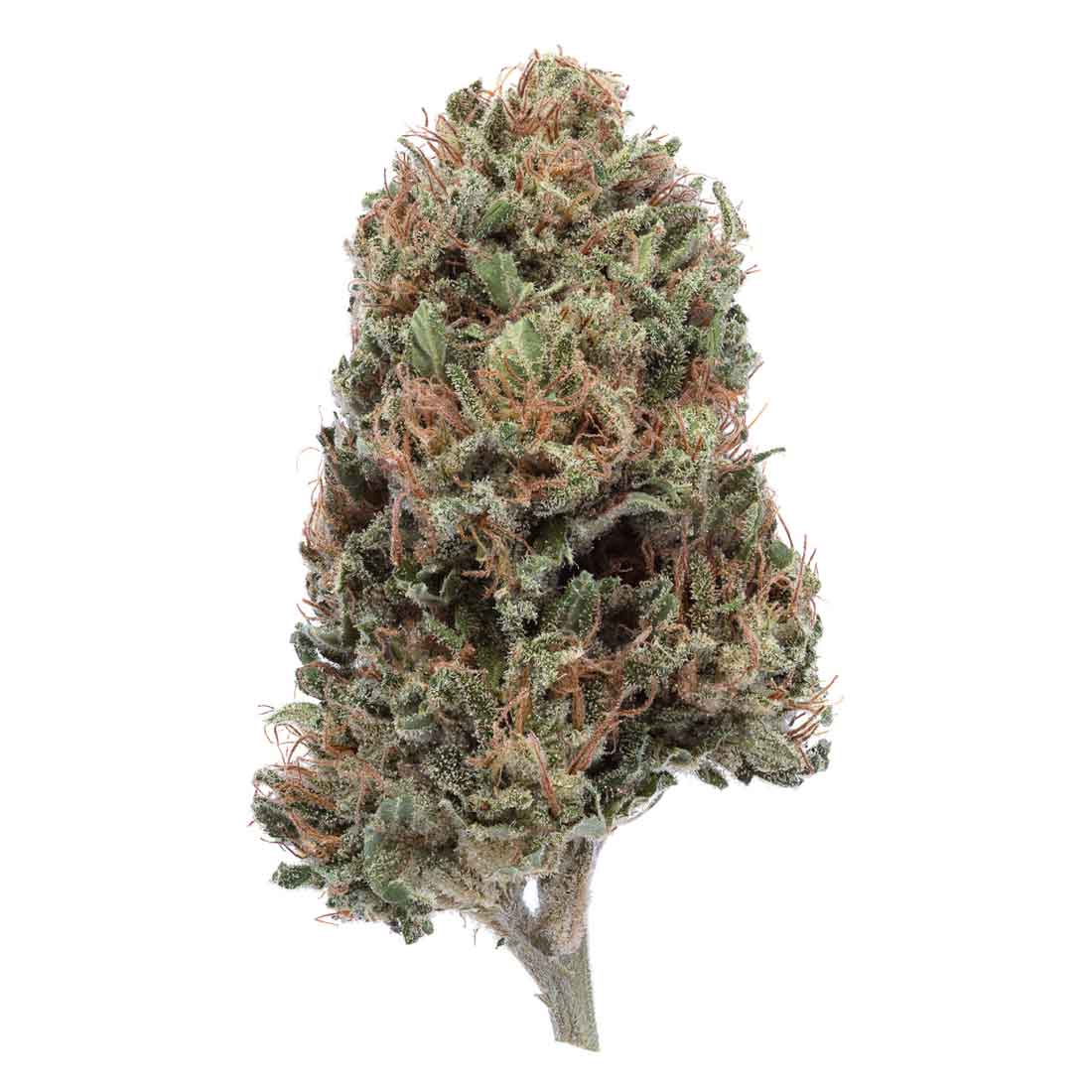 ALL CAPS Flower - Akira Botanicals