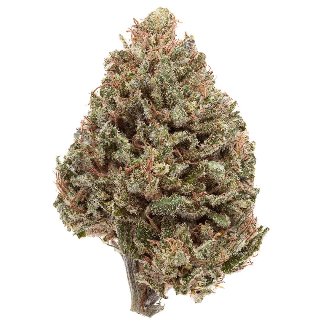 Allium OG Flower - Akira Botanicals