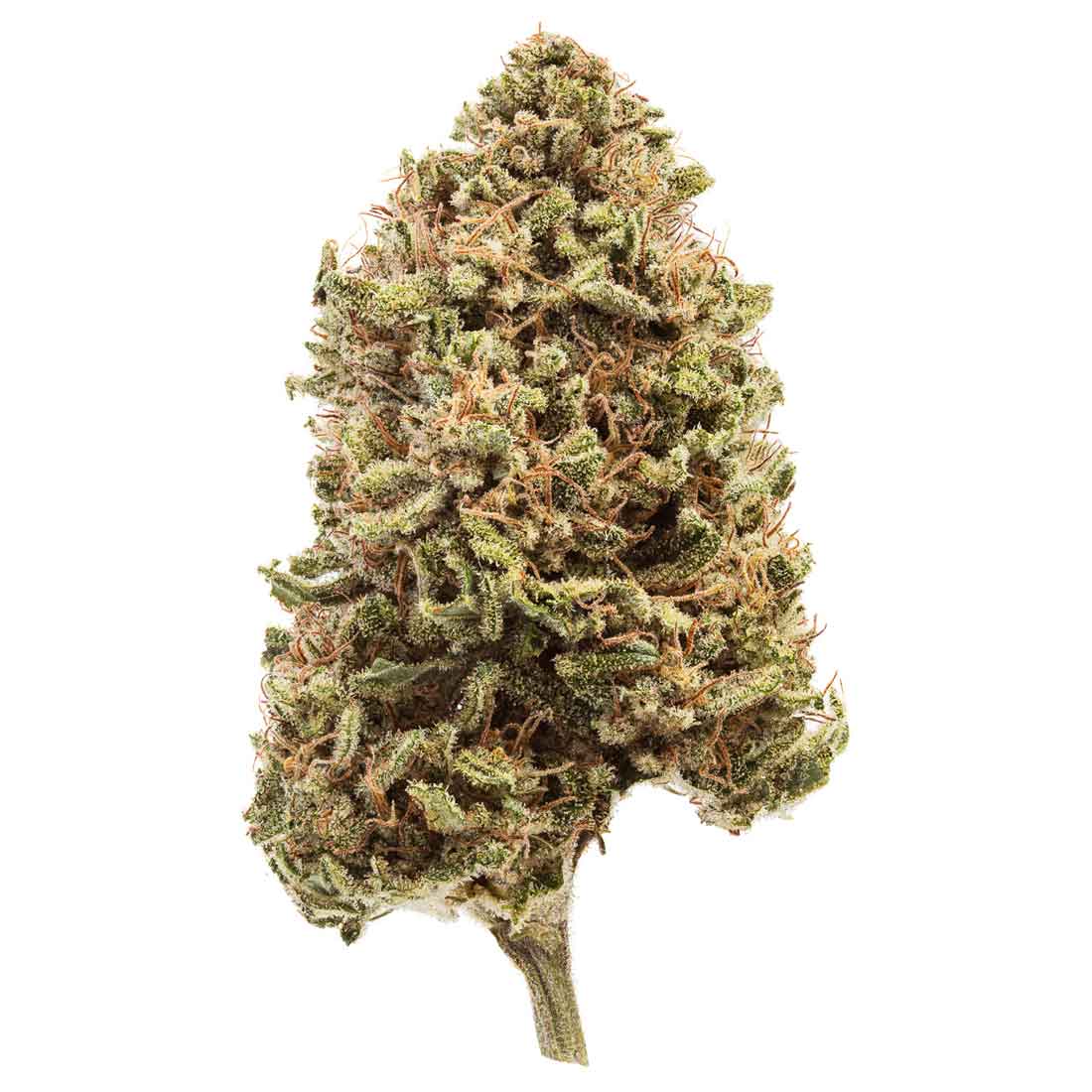 Strawberry Fritter - Akira Botanicals